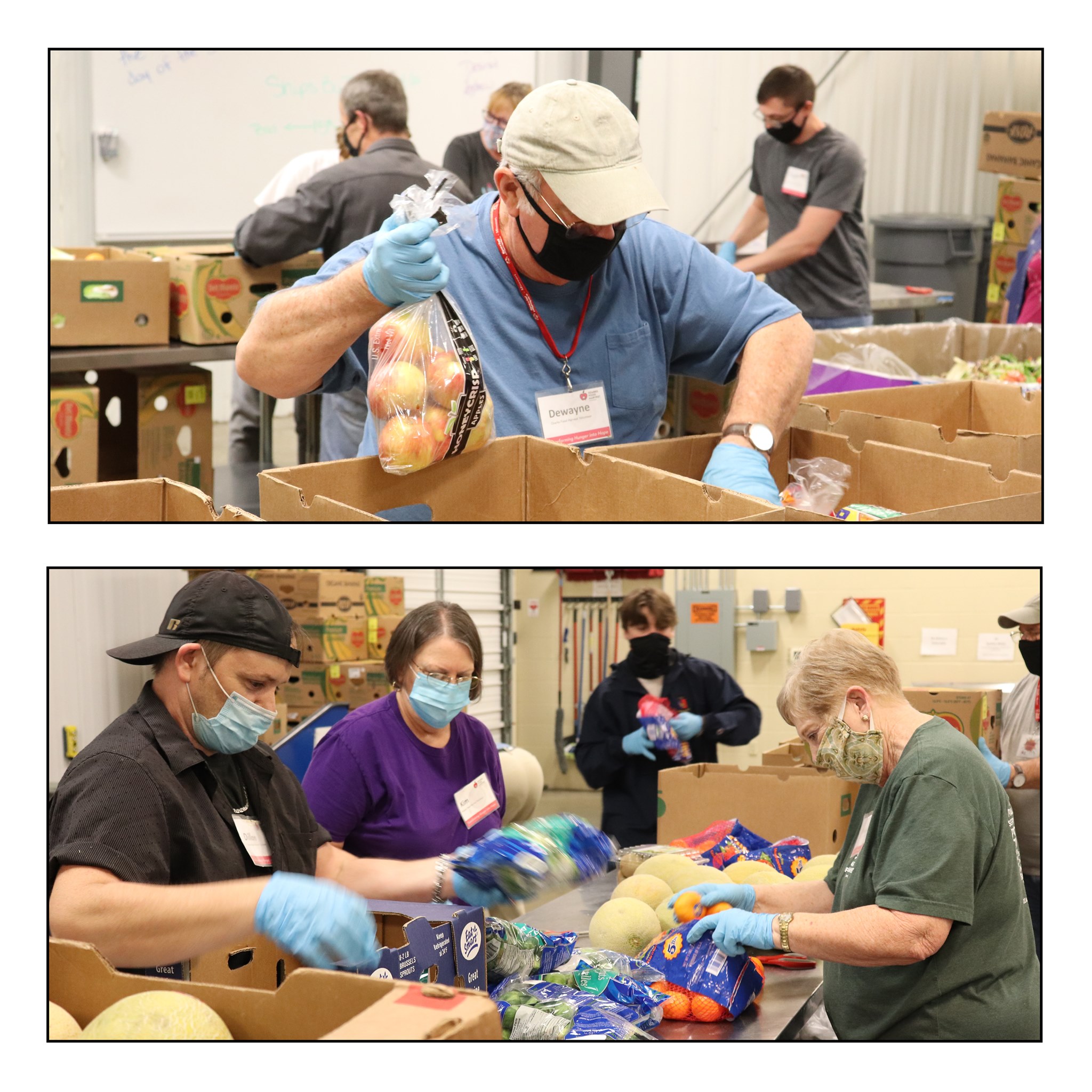 Food Sorting &/or Packing Session | Volunteer Ozarks